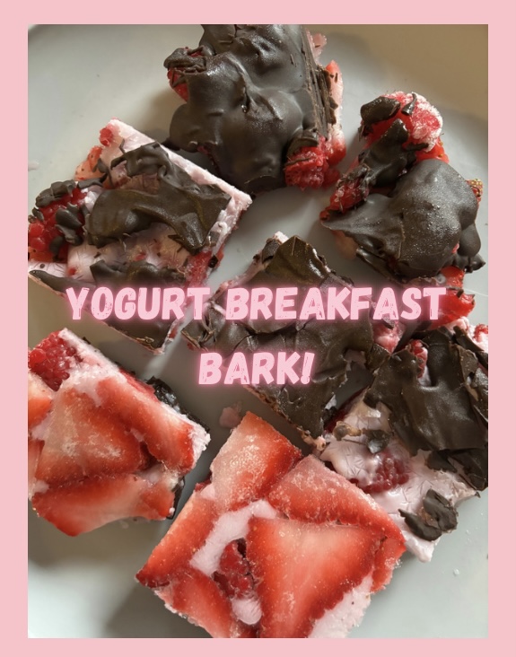 Yogurt Breakfast Bark! - A Girls Guide