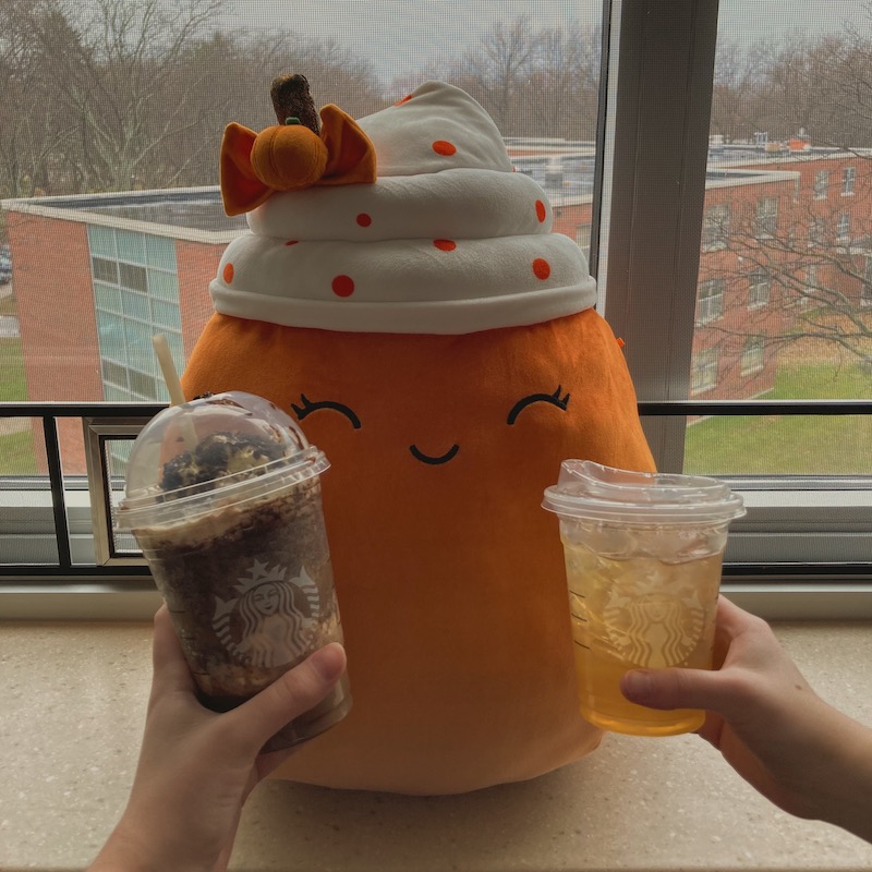 Coffee Beans ♡ - Squishmallow Alert