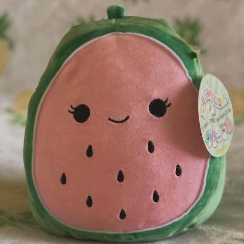 Wanda the Watermelon 🍉 - Squishmallow Alert