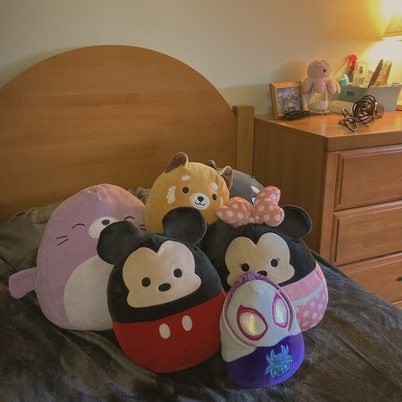 My Collection ♡ - Squishmallow Alert