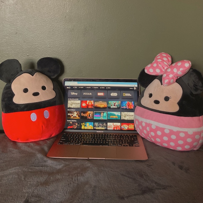 Disney Squish ♡ - Squishmallow Alert